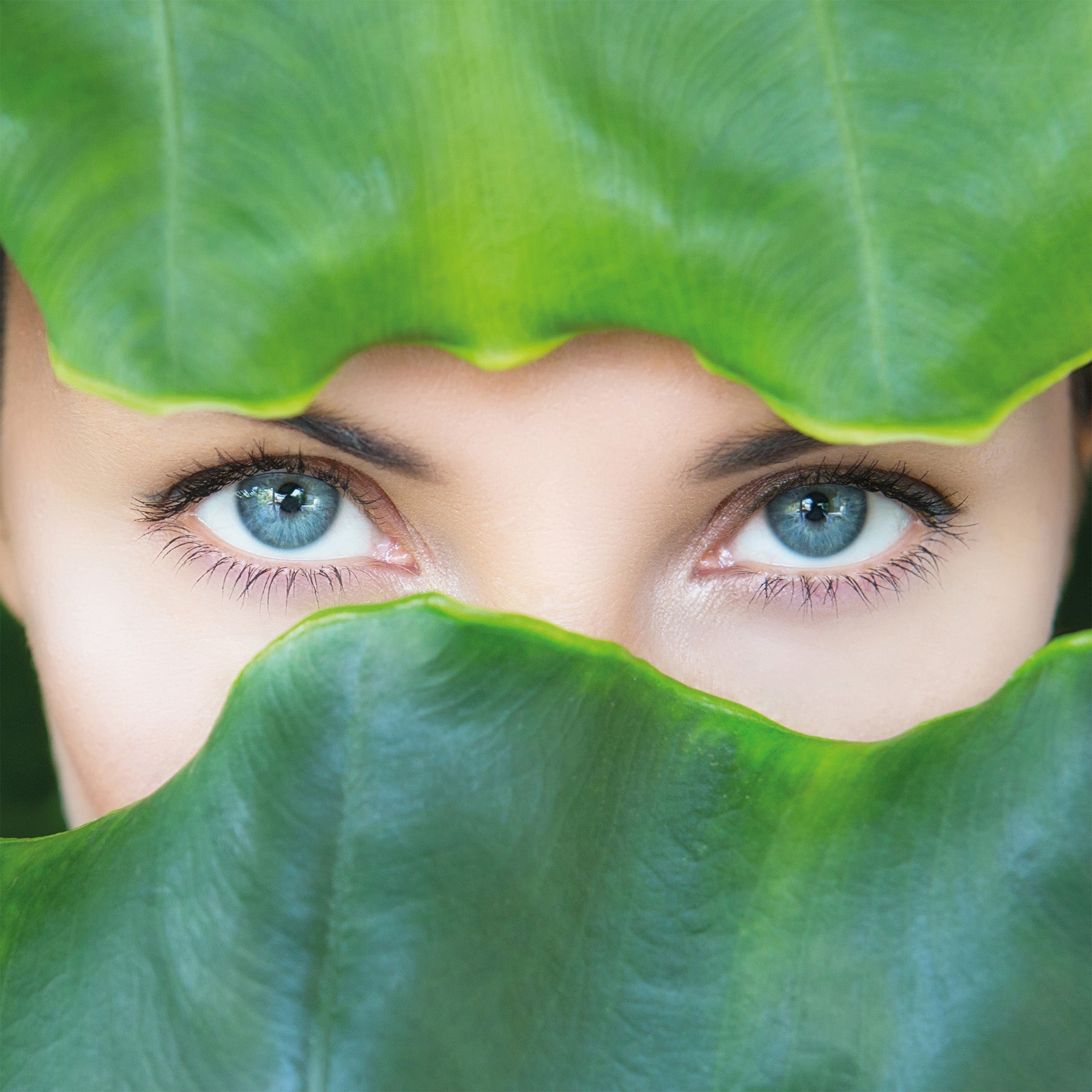 Collezioni Esclusive di Integratori Spray e Cosmetici all'Oro | Biomed ...